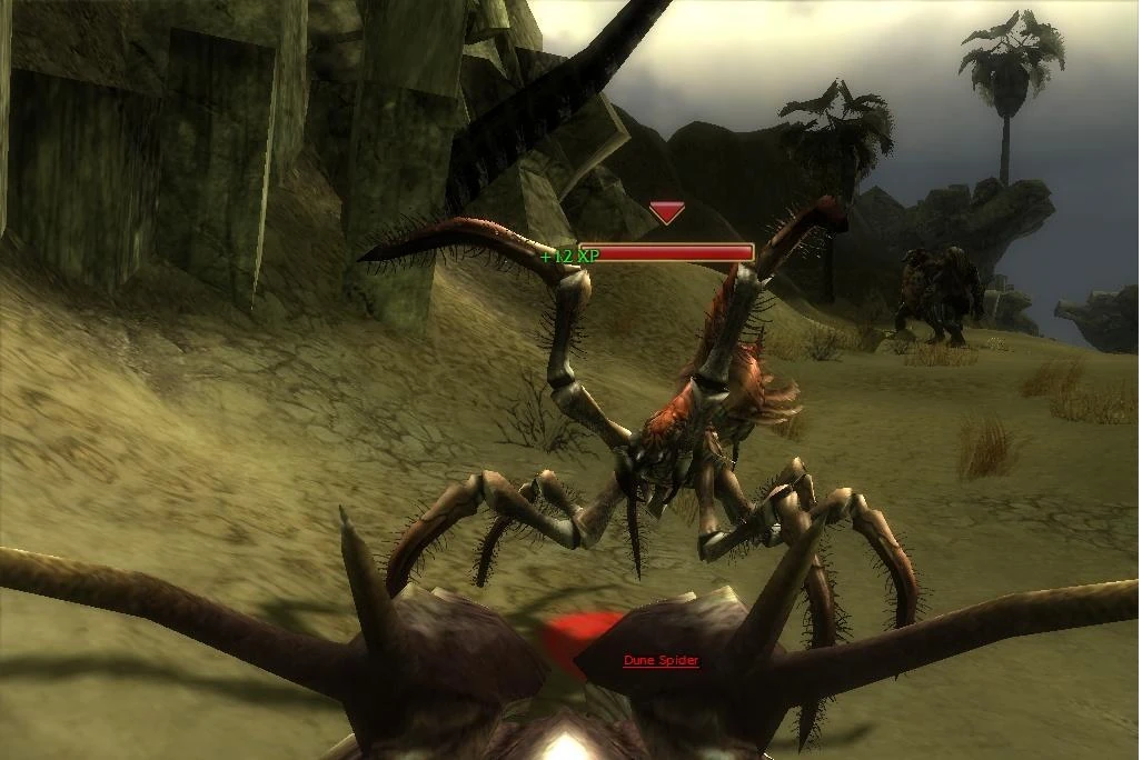 Dune Spider | GuildWars Wiki | Fandom