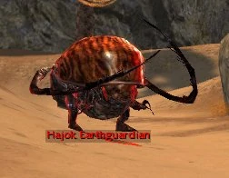 Hajok Earthguardian (Insect) | GuildWars Wiki | Fandom