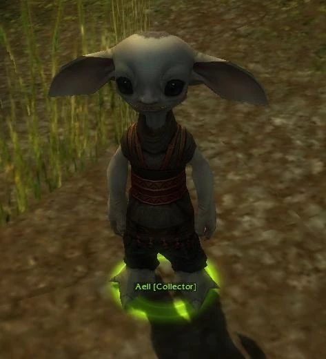 Aell | GuildWars Wiki | Fandom