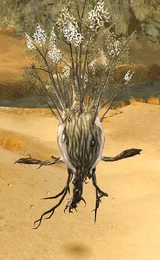 Shezel Slowreaper | GuildWars Wiki | Fandom