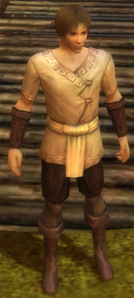 Robin Neils | GuildWars Wiki | Fandom