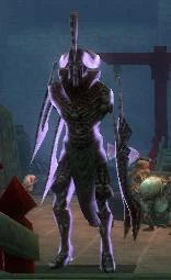 Bound Vizu | GuildWars Wiki | Fandom