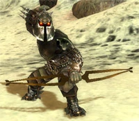 Stone Summit Ranger | GuildWars Wiki | Fandom