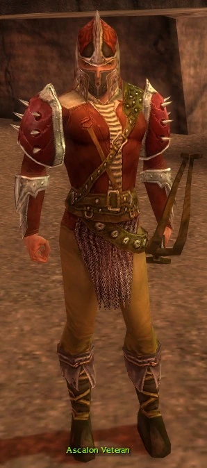 Ascalon Veteran | GuildWars Wiki | Fandom