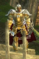 Mantle Knight Karriya | GuildWars Wiki | Fandom