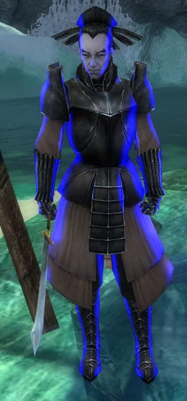 Kurzick Army Warrior | GuildWars Wiki | Fandom