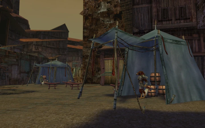 The Roost | GuildWars Wiki | Fandom