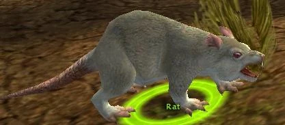 Rat (NPC) | GuildWars Wiki | Fandom