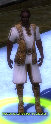 Necromancer Dunbari Guildwars Wiki Fandom
