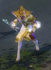 Selwin the Fervent | GuildWars Wiki | Fandom