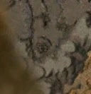 Flame Temple | GuildWars Wiki | Fandom