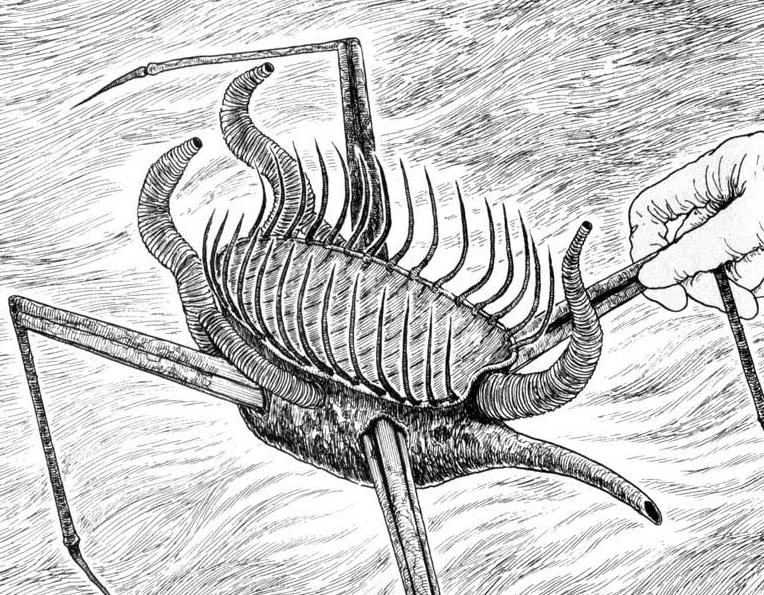 Death Stenches | Gyo Wiki | Fandom