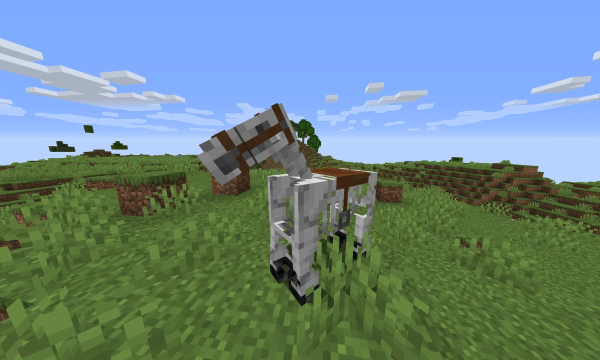 Spirit | H20 SMP Wiki | Fandom