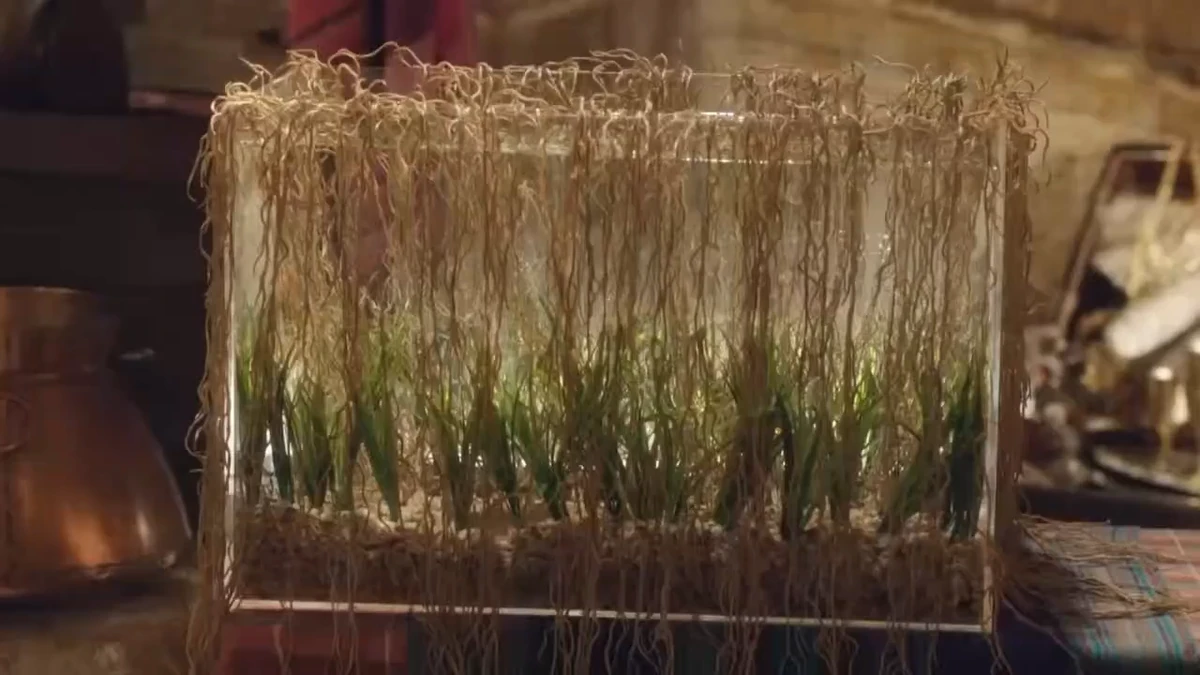 Flora Manipulation Spell | H2O Just Add Water Wiki | Fandom