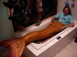 H2o Mermaid Tails For Kids