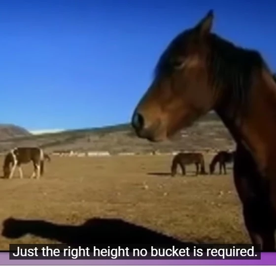 JRHNBR | The H3 Podcast Wiki | Fandom