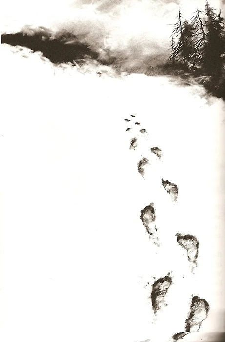 Scary Stories to Tell in the Dark: The Wendigo | Halloween Wiki | Fandom