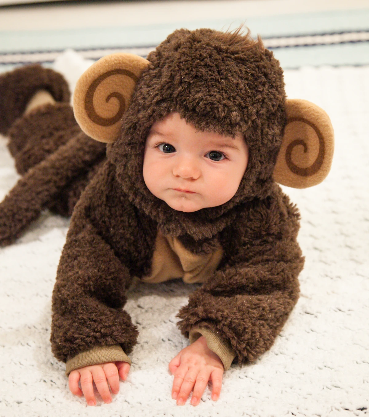 Monkey costume | Halloween Wiki | Fandom