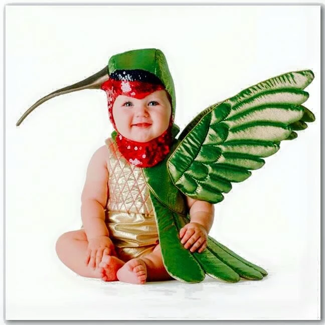 Hummingbird costume | Halloween Wiki | Fandom