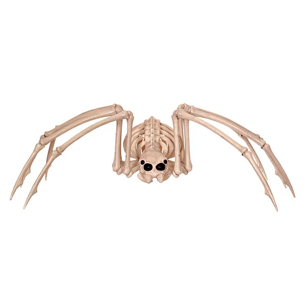 Skeleton Spider | Halloween Wiki | Fandom
