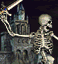 Skeleton (Heroes of Might and Magic III) | Halloween Wiki | Fandom