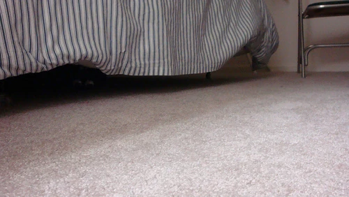 Monster under the bed | Halloween Wiki | Fandom