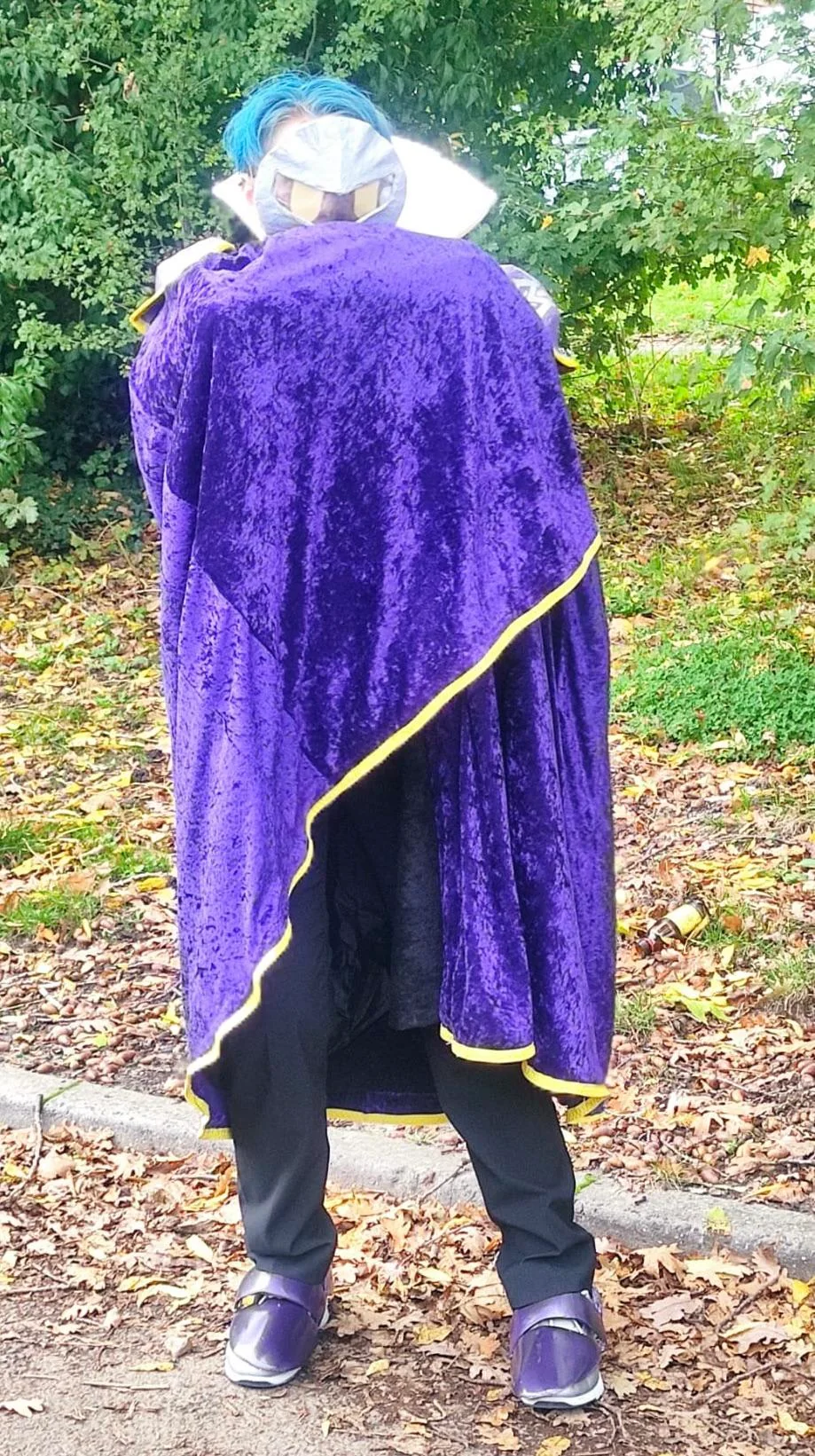 Meta Knight costume | Halloween Wiki | Fandom