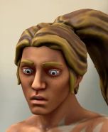 Haara | Haarapedia | Fandom