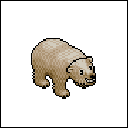 Bear (Pet) | Habbo Wiki | Fandom