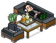 Executive | Habbo Wiki | Fandom