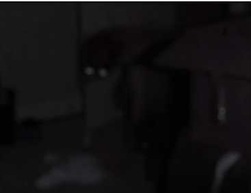 The Rake | Habit's Tournament Wikia | Fandom