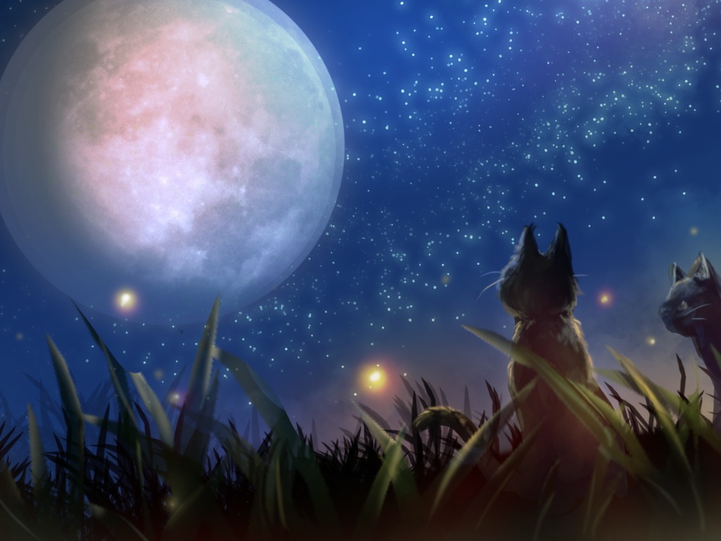 Waiting The Moon Rotation | Hachi Hachi Wikia | Fandom