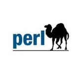 Perl | Wiki Hacker | Fandom