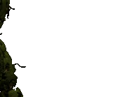 Springtrap | Hadman's FNAF Fangames Wiki | Fandom