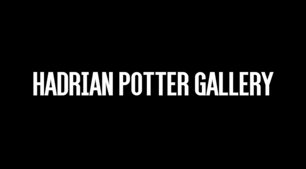 Hadrian Potter | Hadrian Potter, Revenge Wiki | Fandom