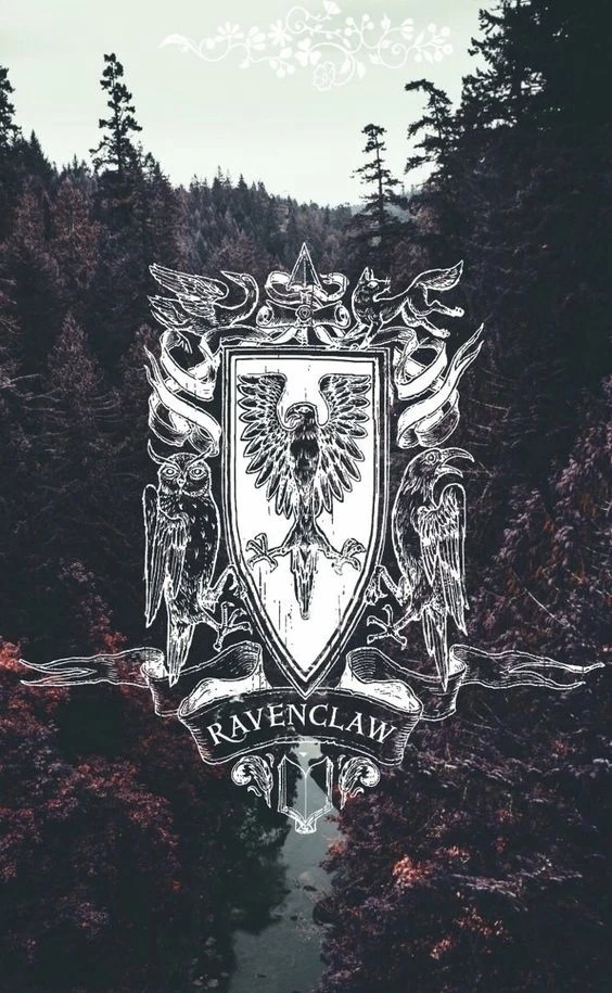 Ravenclaw Quidditch Team | Hadrian Potter, Revenge Wiki | Fandom