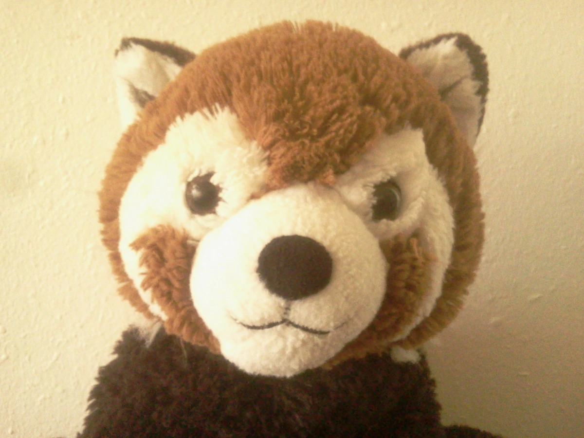 Shadow the Red Panda (Character) | Hadrosaur838 Wikia | Fandom