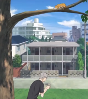 The Arrival of Haiba Lev (OVA) | Haikyū!! Wiki | Fandom