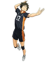 Positions | Haikyū!! Wiki | Fandom