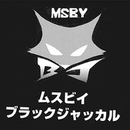 MSBY Black Jackal | Haikyū!! Wiki | Fandom