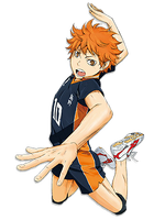 Positions | Haikyū!! Wiki | Fandom