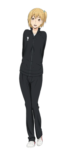 Hitoka Yachi | Wiki Haikyuu | Fandom