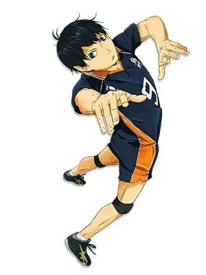 User blog:LMFAOHELP/Volleyball Positions | Haikyū!! Wiki | Fandom