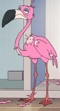 Frank | Hailey's On It! Wiki | Fandom