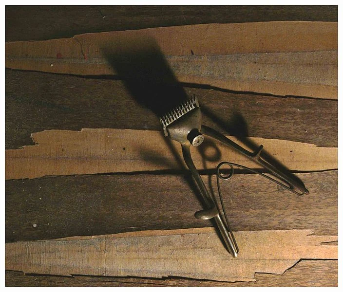 Clippers | Haircutpedia Wiki | Fandom