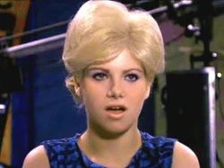 Colleen Fitzpatrick Hairspray