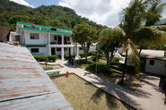 Milot | Haiti Local | Fandom