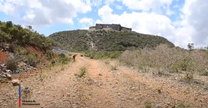 Route Departementale 115 | Haiti Local | Fandom