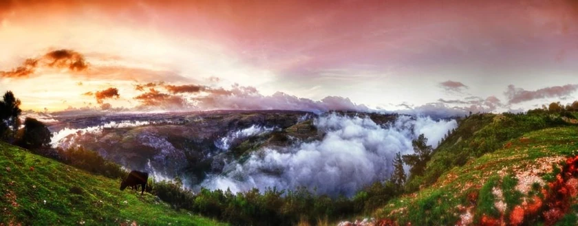 Pichon | Haiti Local | Fandom