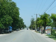 Arcahaie | Haiti Local | Fandom
